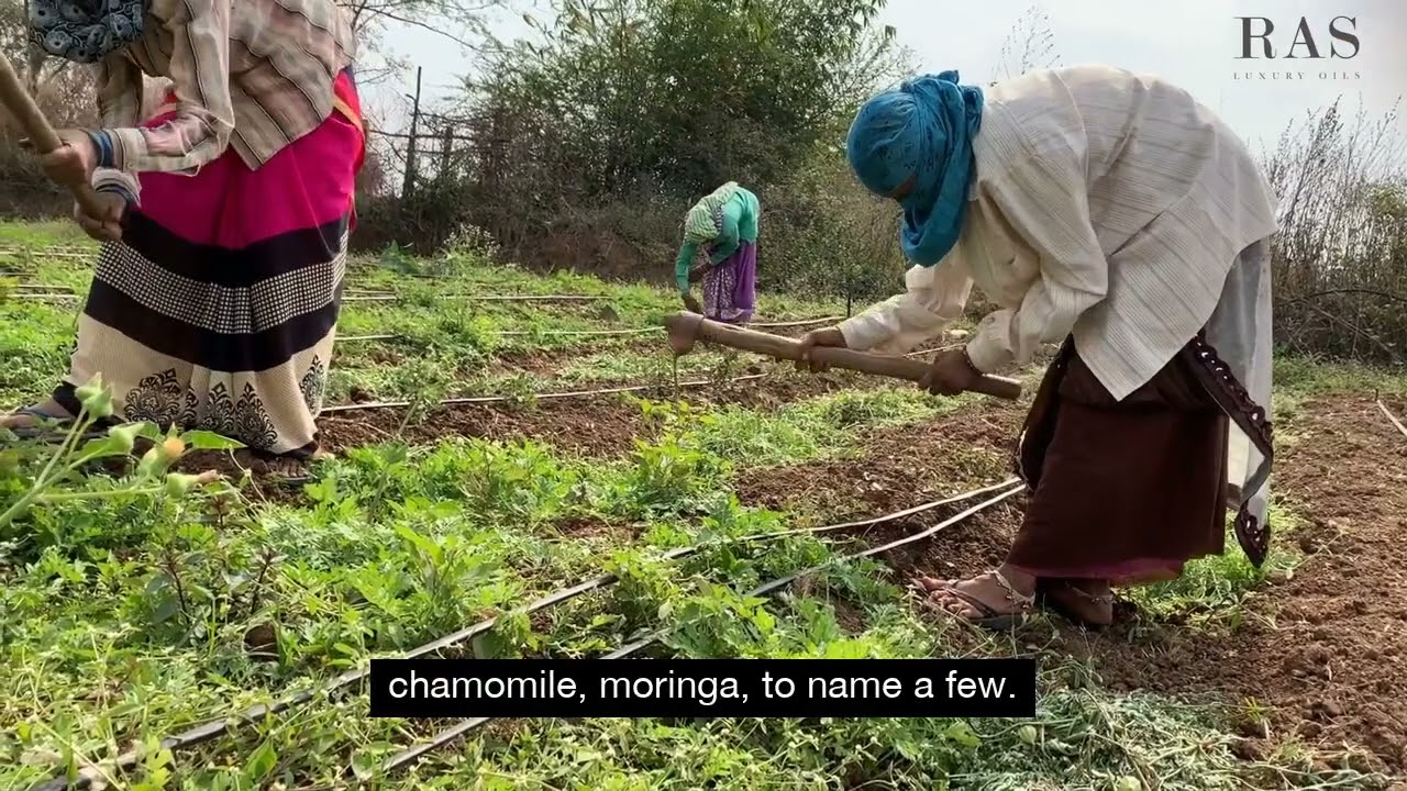 About Us – RAS Luxury Oils